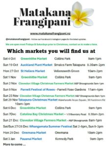 Frangipani Plants | Matakana Frangipani Deliver Across NZ